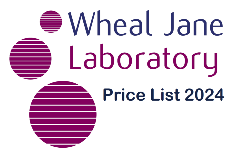 X-Ray Fluorescence (XRF) - Wheal Jane Laboratory