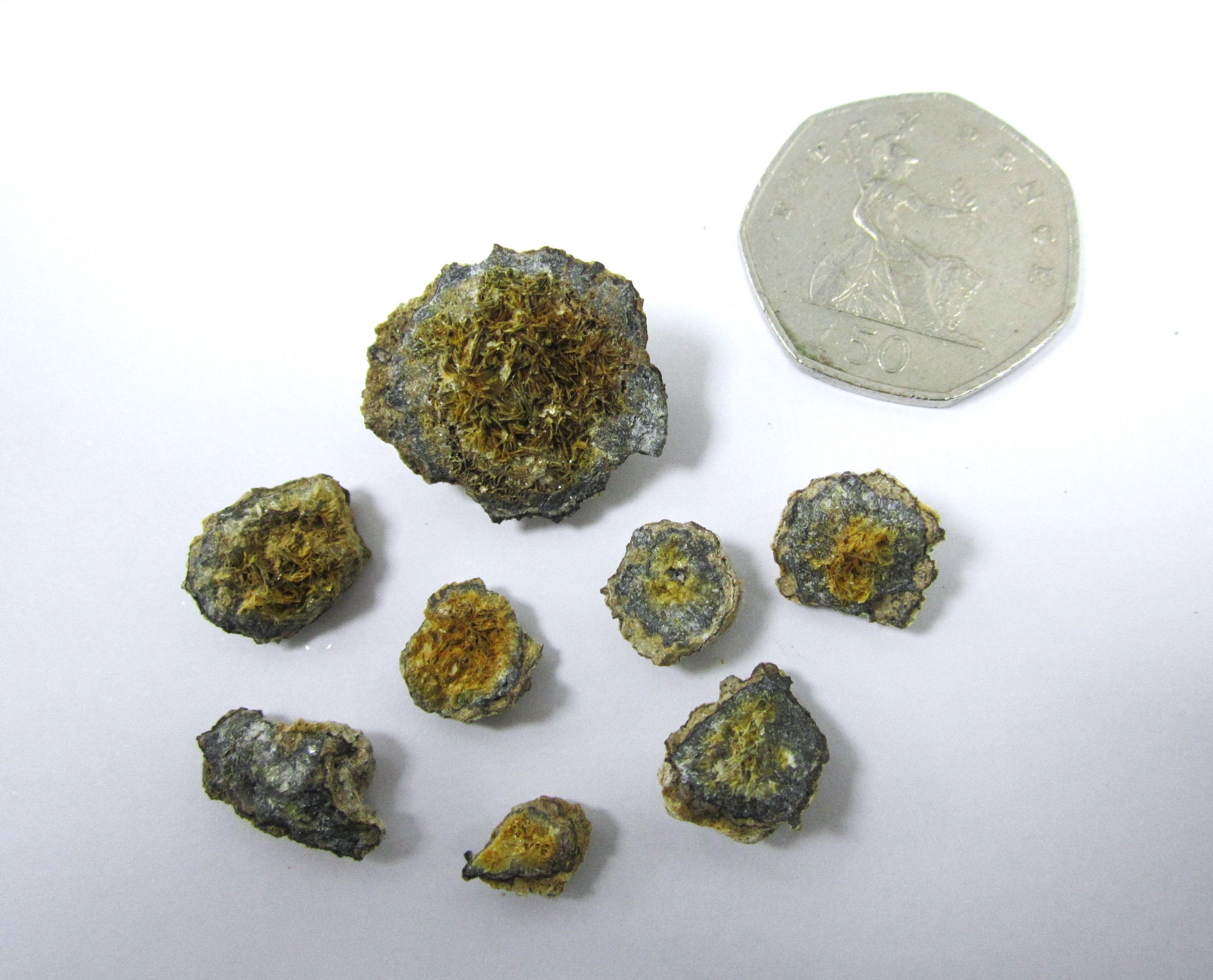 Tin Ingot Study - Wheal Jane Laboratory